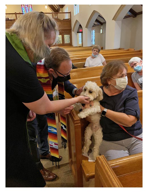 Second annual pet blessing Sunday, Oct. 2 at New England Congregational ...