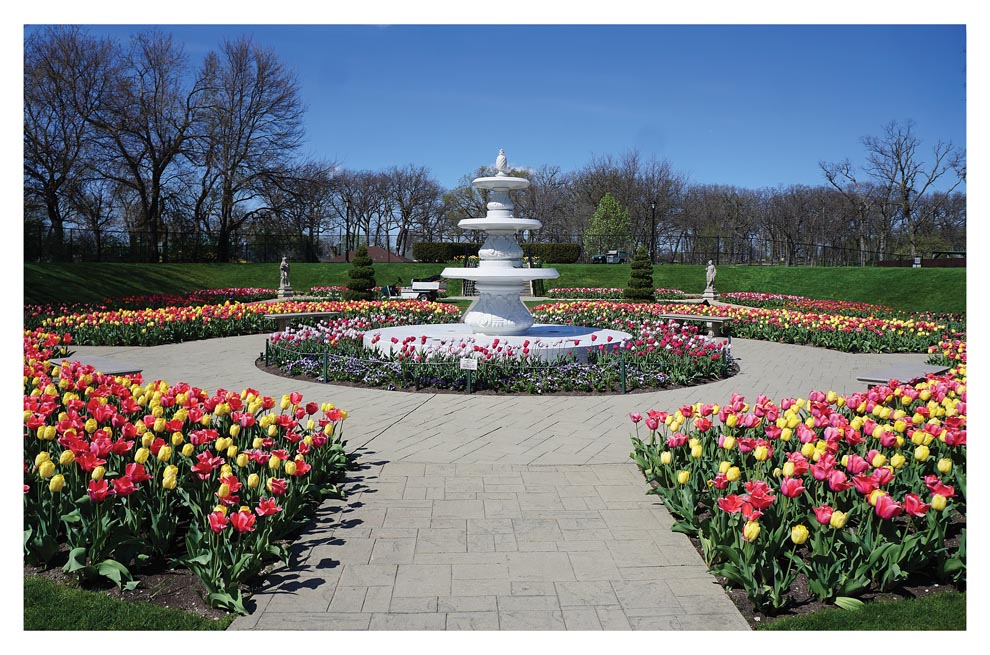 Spring colors in bloom in Aurora – The Voice