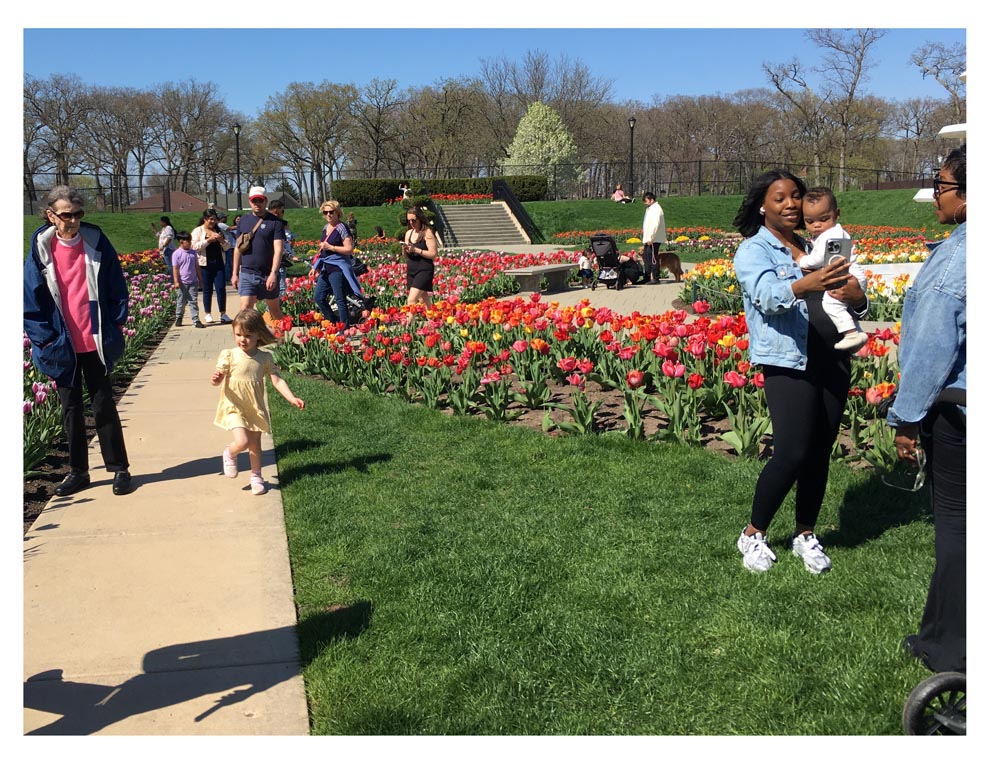 Sunken Garden in Phillips Park in Aurora, great spring stop – The Voice